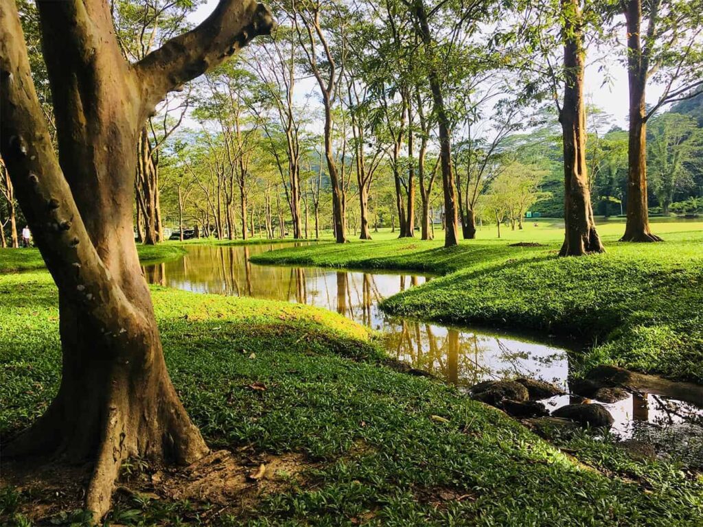Seethawaka Botanical Garden - Ceylon Pages